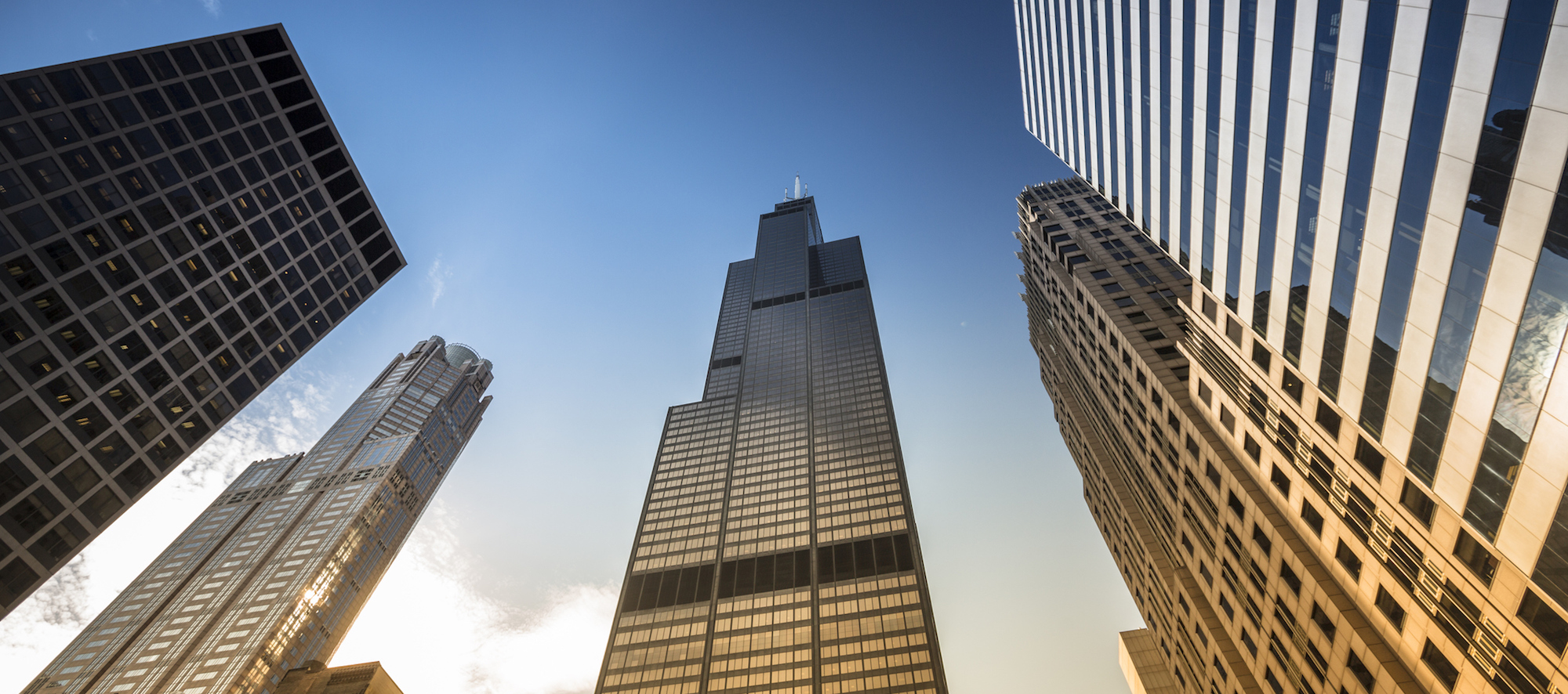 About The Financial Services Recruitment Firm | Search Tower